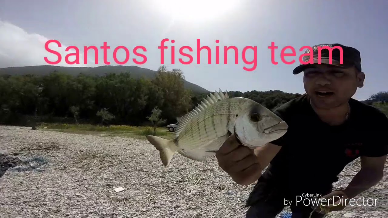 ψαρεμα...surf casting!σαργος θηριο 1340gr!!!ετσι βγαινουν οι σαργοι ...
