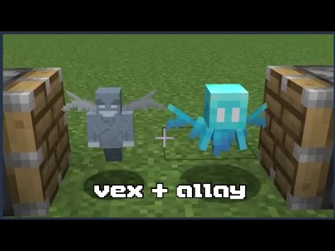 minecraft vex + allay = ? - YouTube