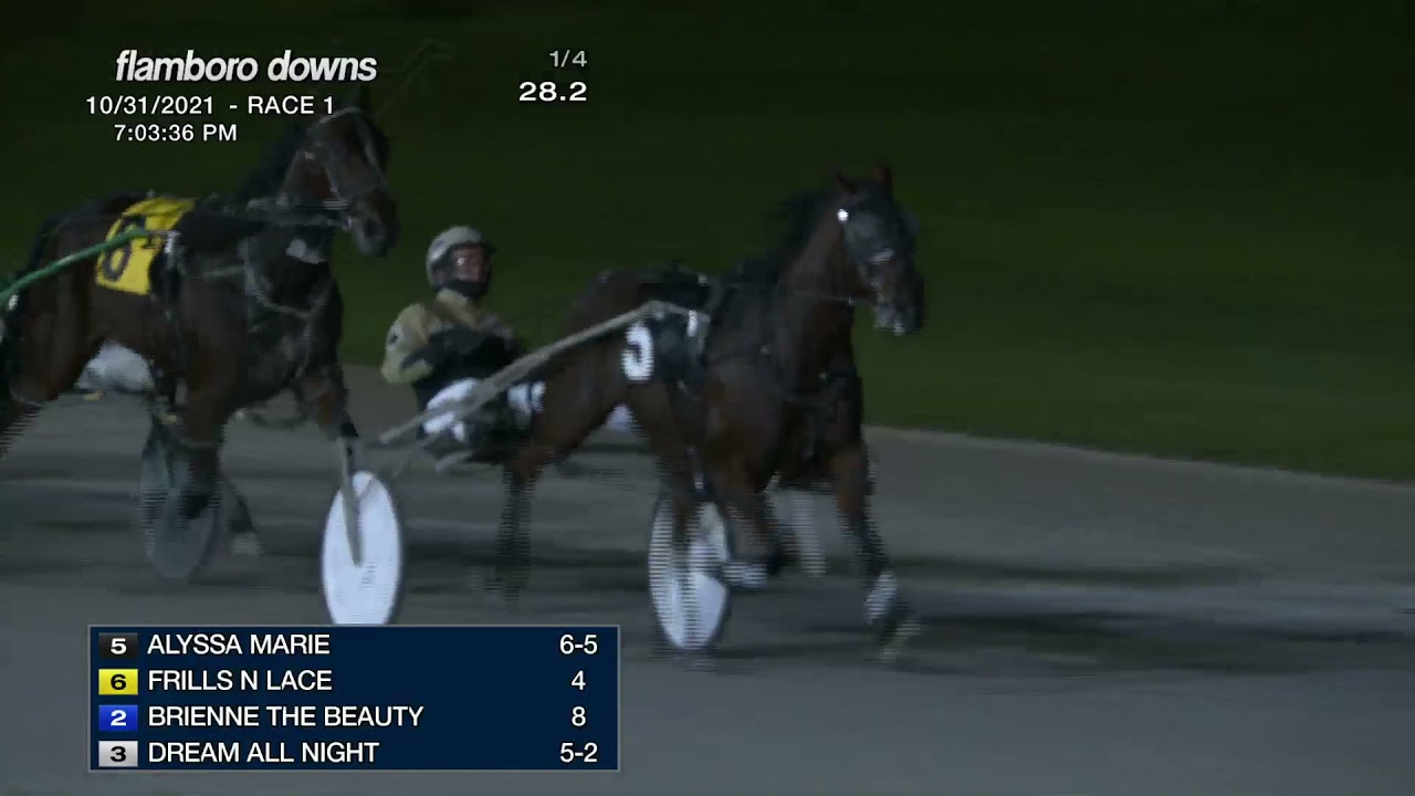 OCTOBER 31,2021-FLAMBORO DOWNS-RACE 1 - YouTube