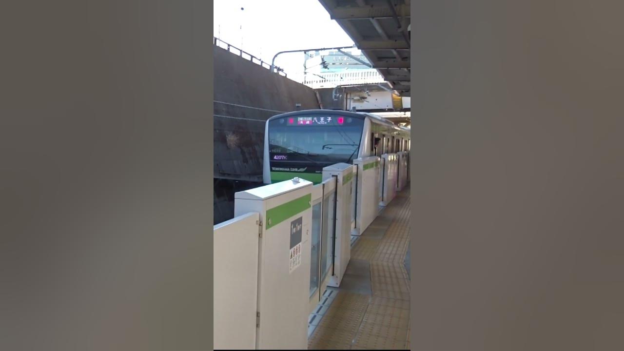 20250118🟩JR東日本 横浜線E233系H019編成🚃新横浜にて - YouTube