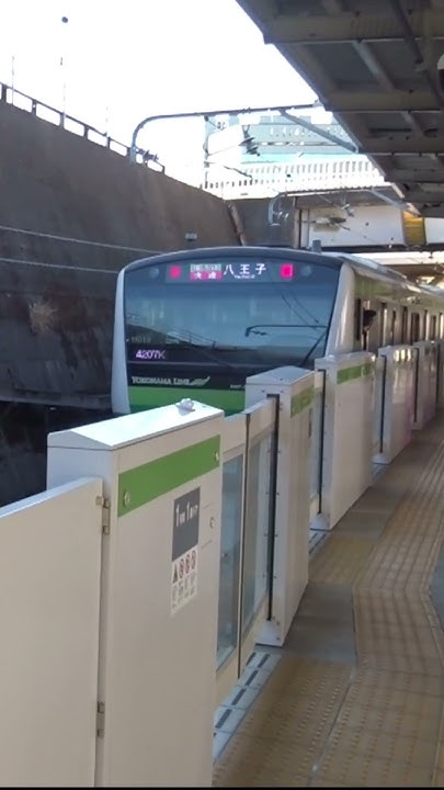 20250118🟩JR東日本 横浜線E233系H019編成🚃新横浜にて - YouTube
