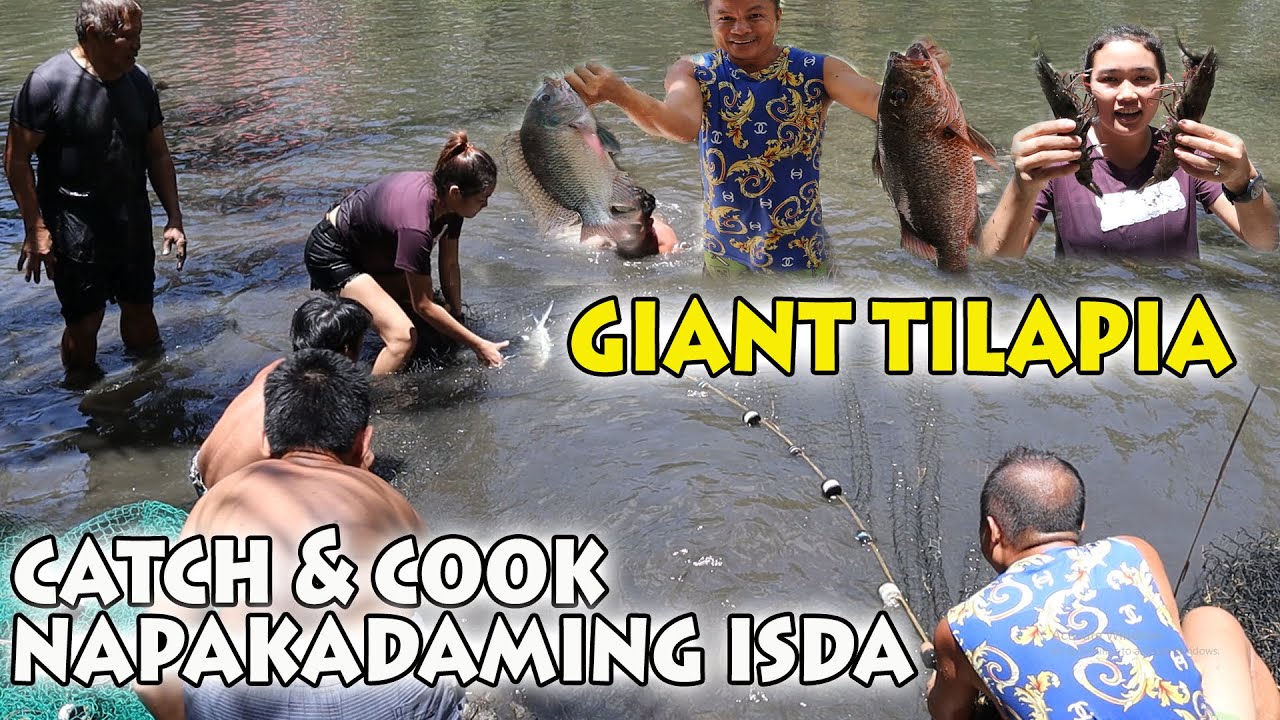 CATCH & COOK GIANT TILAPIA, BANGUS, SUGPO ATBP - YouTube
