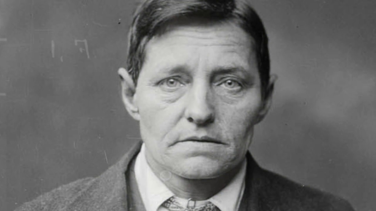 Half Wild by Pip Smith (full trailer) - YouTube