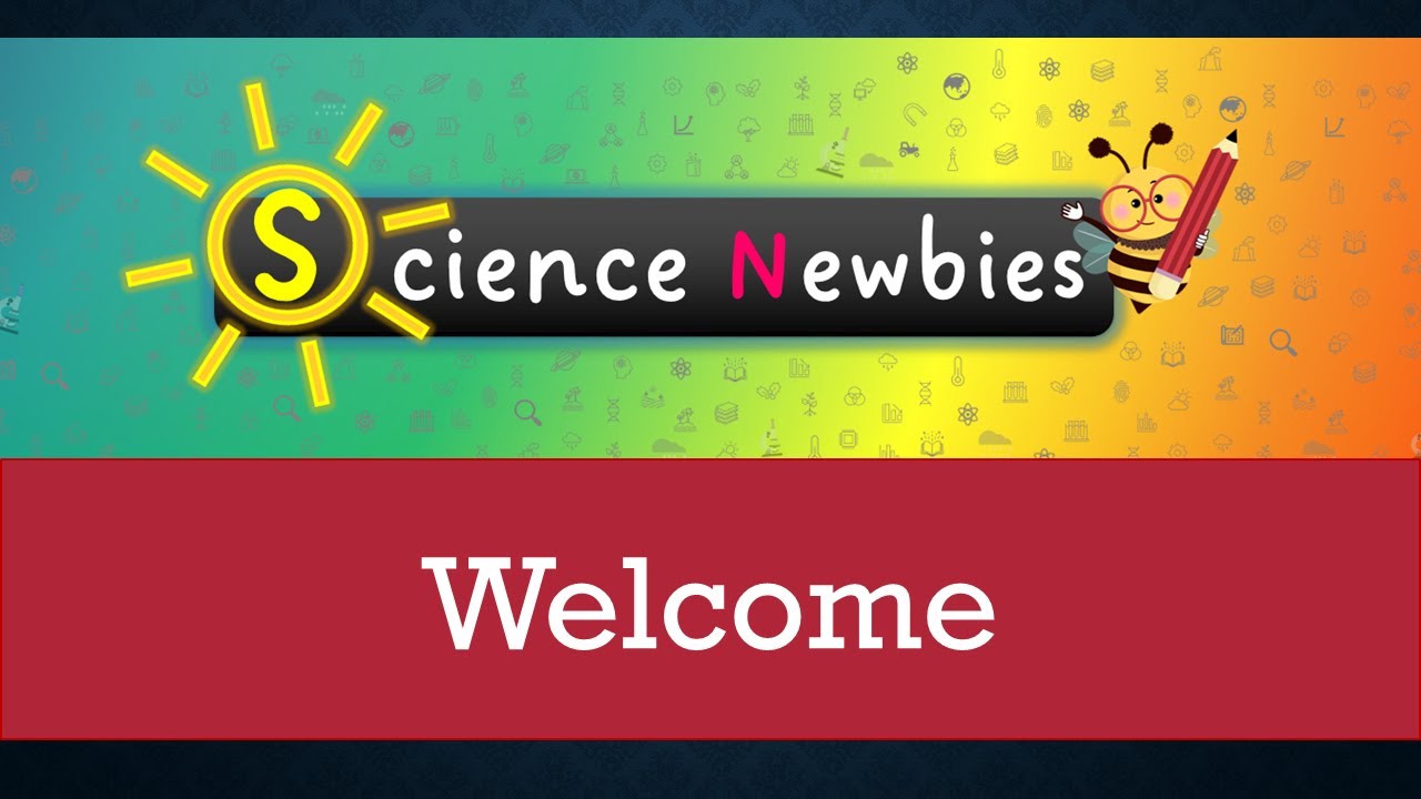 Welcome to Science Newbies Promo || IIT Delhi || Researchers' Life ...