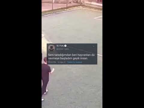 TikTok Twitter Akımı #shorts #tiktokvideo #twitter