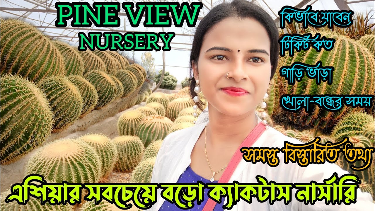 Pine View Nursary Kalimpong/ Asia's Largest Cactus Nursery in Kalimpong ...