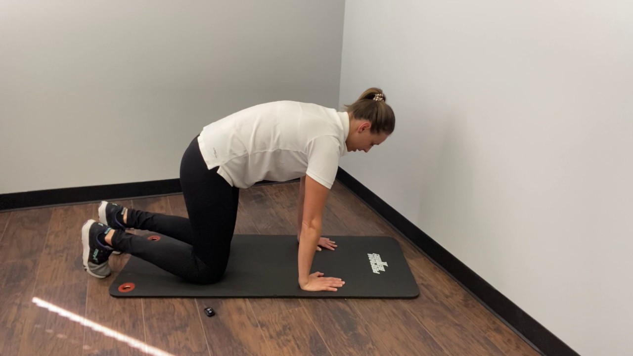 All-four Belly Lift, Modified Cat-Cow - YouTube
