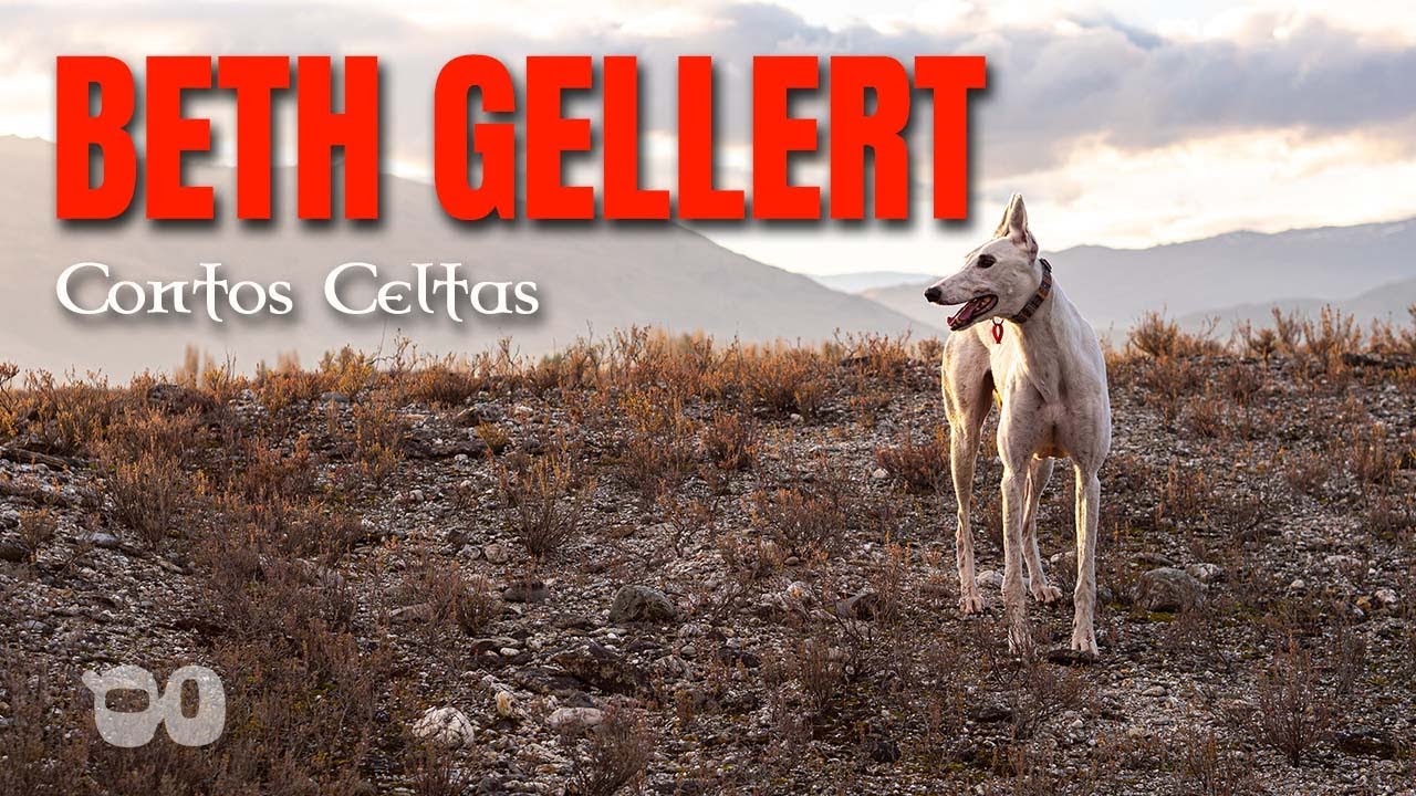 CONTOS CELTAS - BETH GELLERT História para dormir _ Narração ...