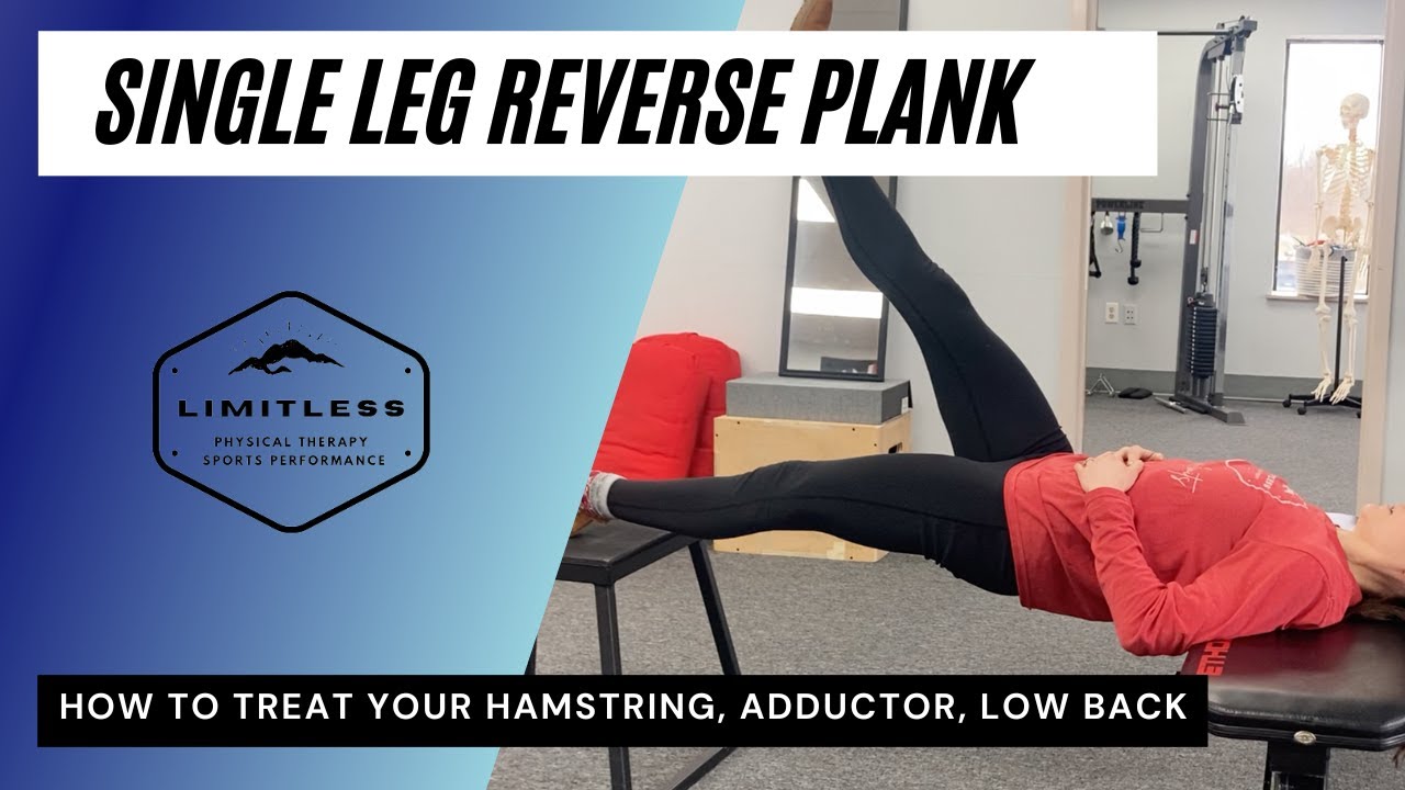 Single Leg Reverse Plank - YouTube