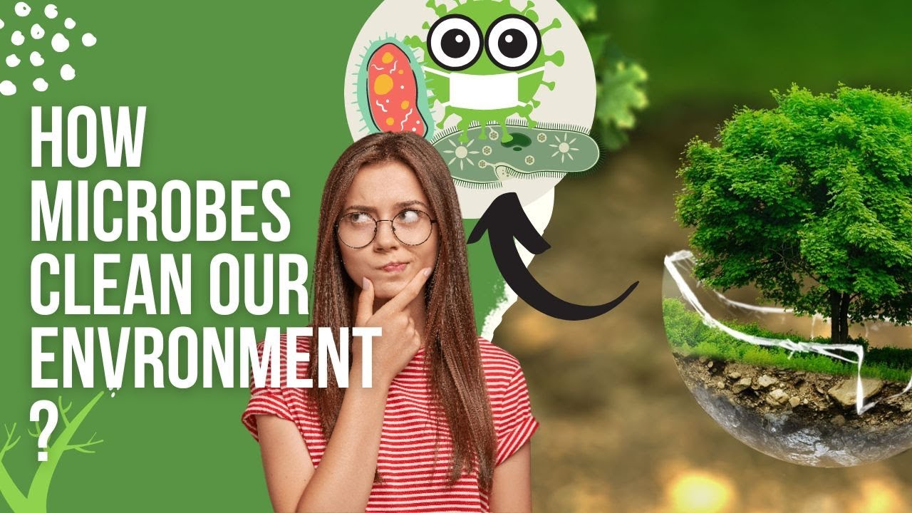 How Genetically Modified Microorganisms Revolutionized Environmental ...