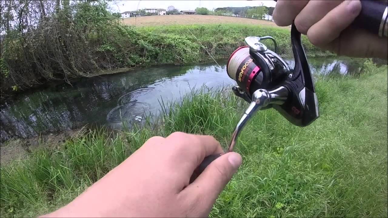 Pike Attack on Topwater - YouTube