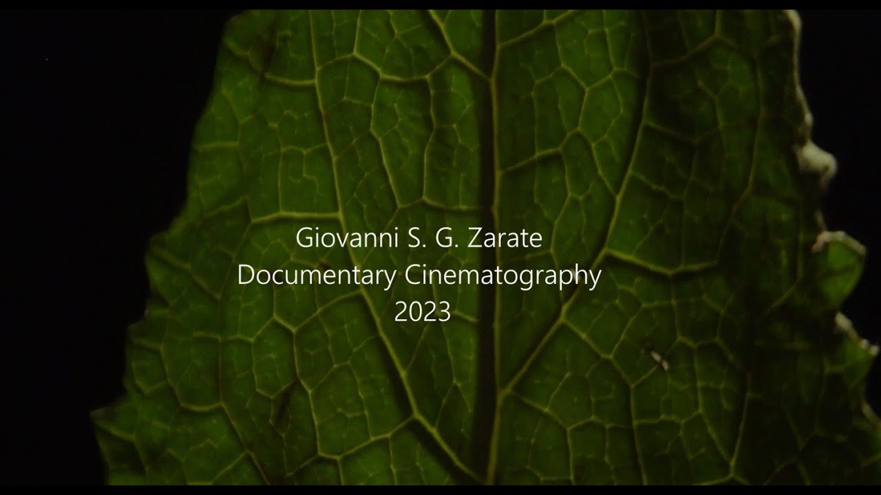 Giovanni S G Zarate Documentary cinematography reel 2023 4 - YouTube