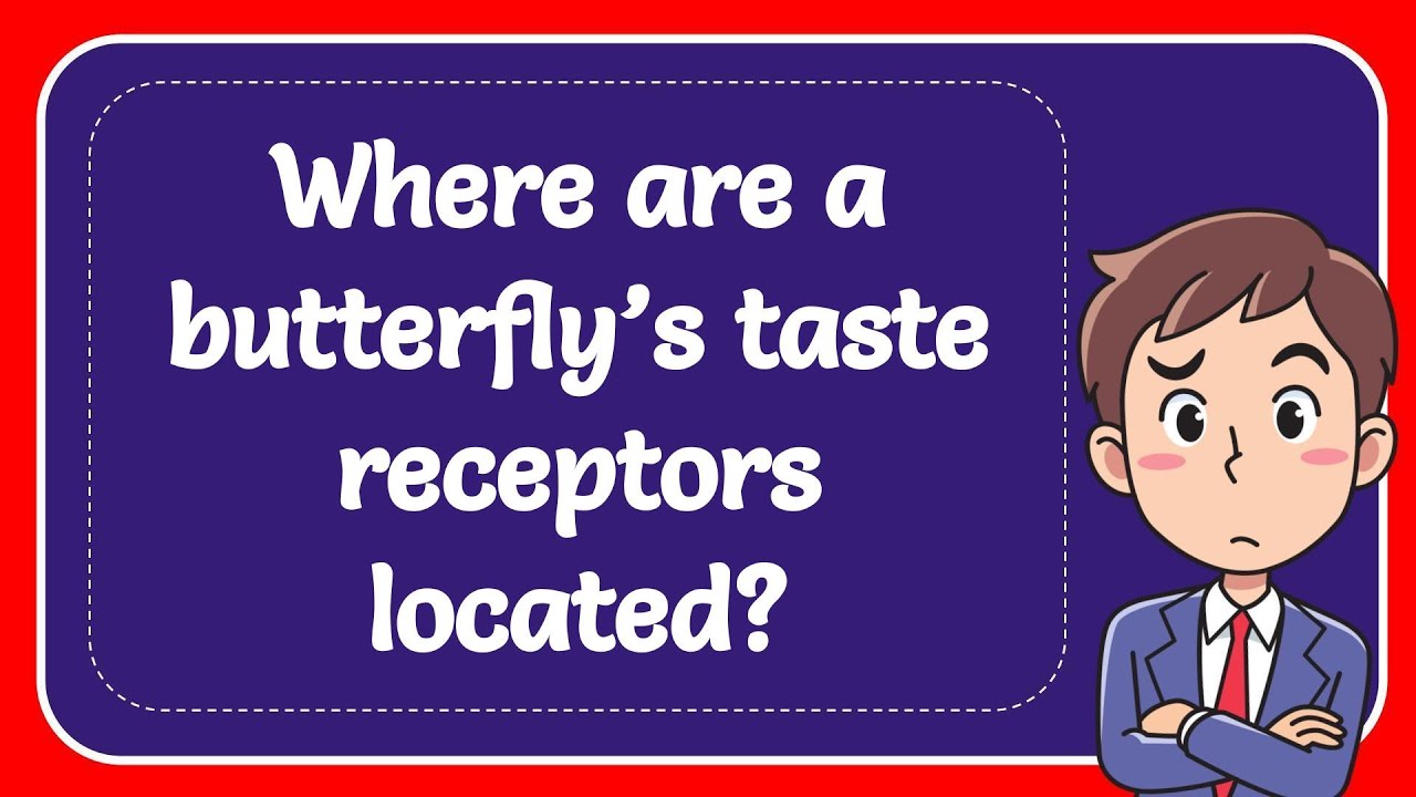 Where are a butterfly’s taste receptors located? - YouTube