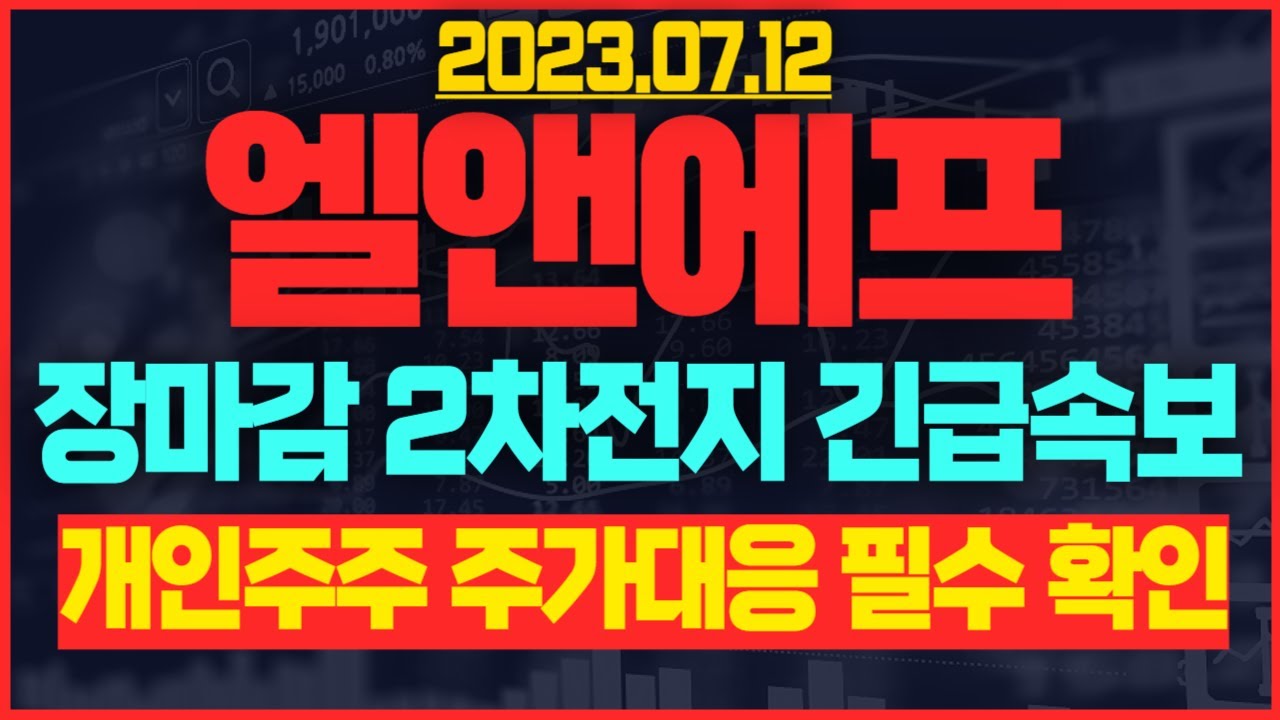 엘앤에프주가 장마감 2차전지 긴급속보 단독 엘앤에프 주식 외국인들 쓸어담고있다 주가 바닥을 포착한 기관 외국인 금융가