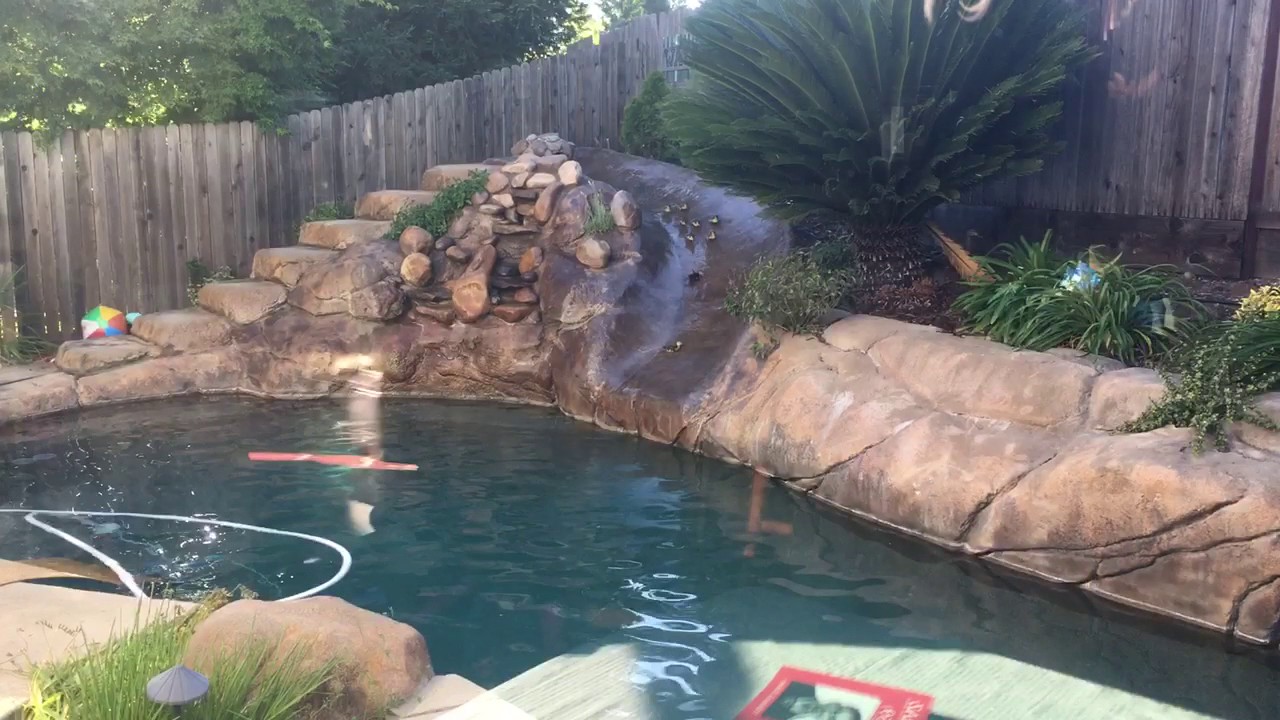 Ducklings going down a slide! - YouTube