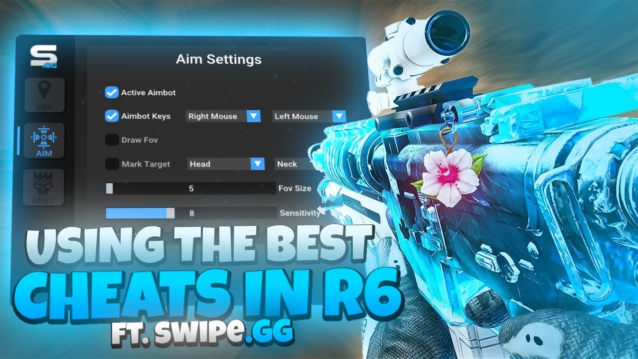 I Used the BEST $6 R6 Cheat 🏆 - YouTube
