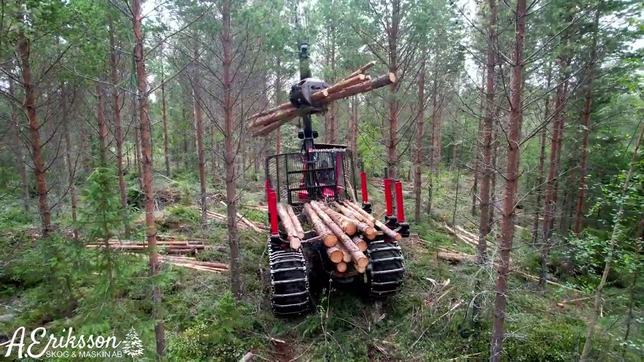 A day as a forest machine operator | Sweden - YouTube