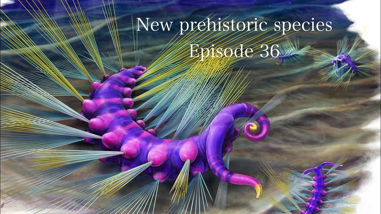 New prehistoric species ( episode 36 ) New prehistoric invertebrate ...