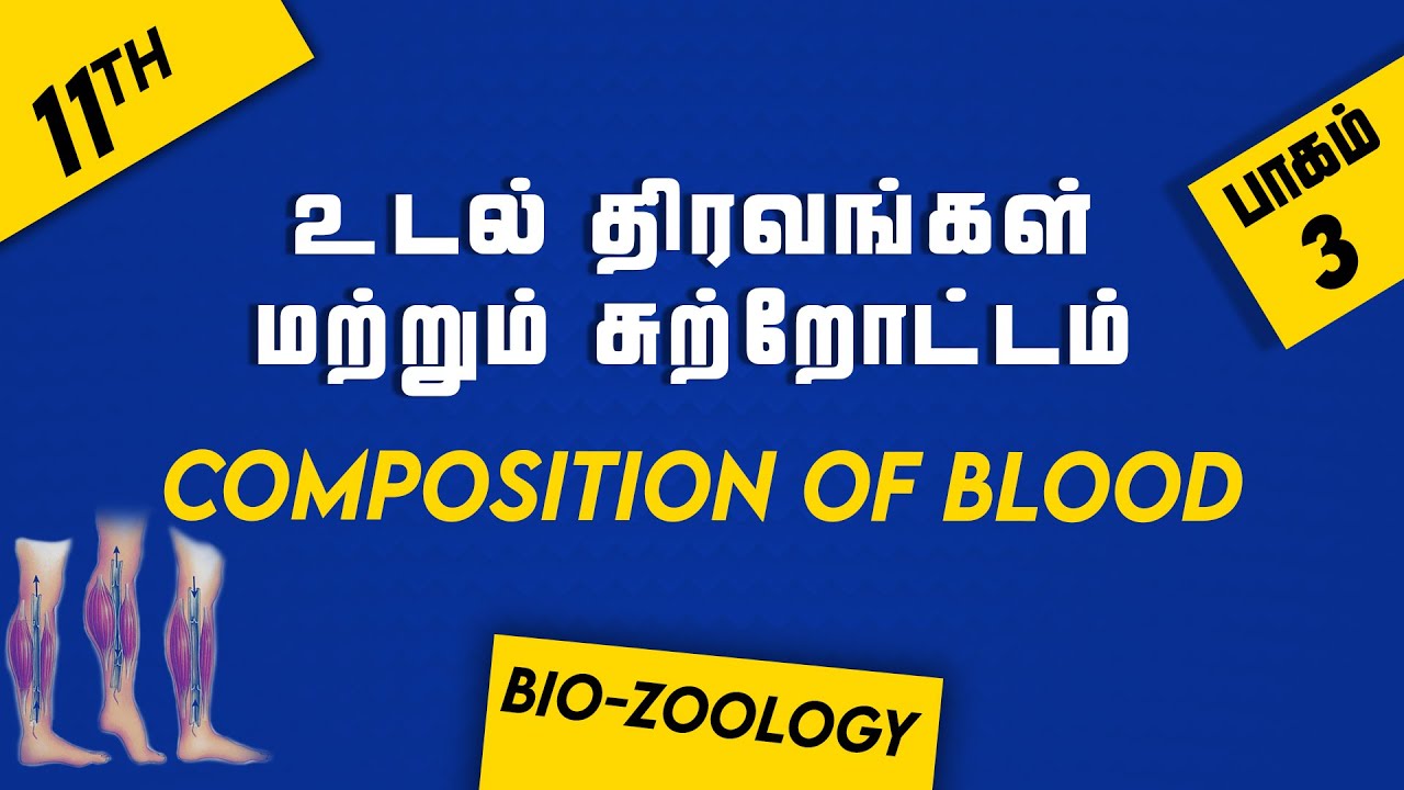 Body Fluids & Circulation | 11th BIO-ZOOLOGY | Chapter 7 | PART 3 ...