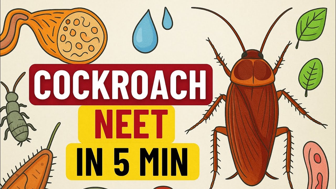Cockroach 🪳 neet rapid revision in 2025 - YouTube