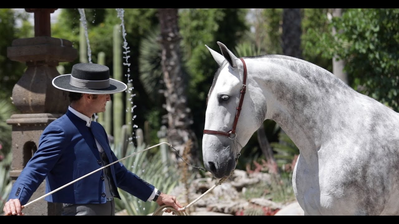 YEGUADA MORA TRUJILLO , ANIMALES DE COMPETICIÓN, EQUIPO DE MÉXICO ...