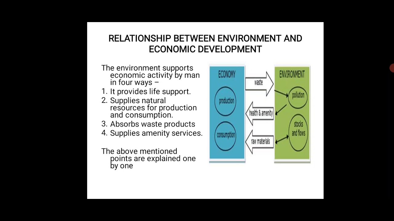Chapter 4 Introduction of Environmental Economic - YouTube
