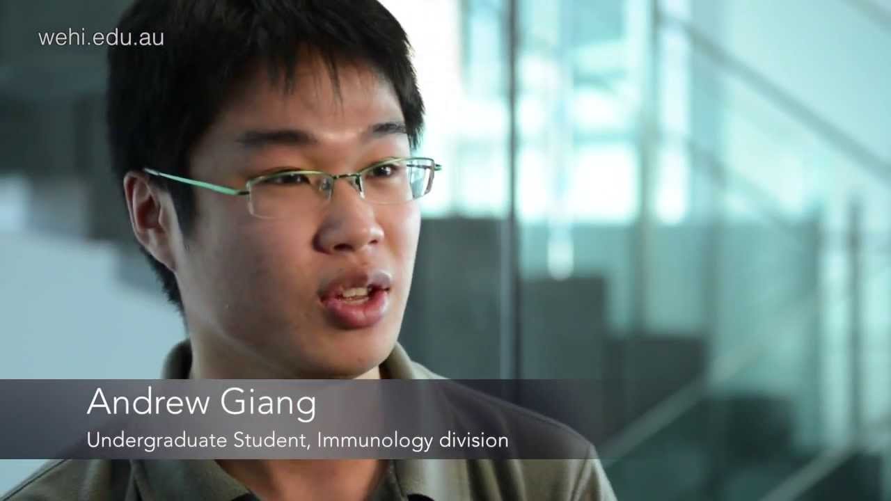 Andrew Giang (2013): Honours student, Immunology division - YouTube