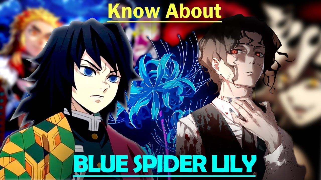 The Rare Blue Spider Lily Explained In Hindi //Demon Slayer : Kimetsu ...