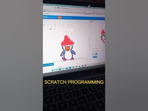 Scratch Programming - YouTube