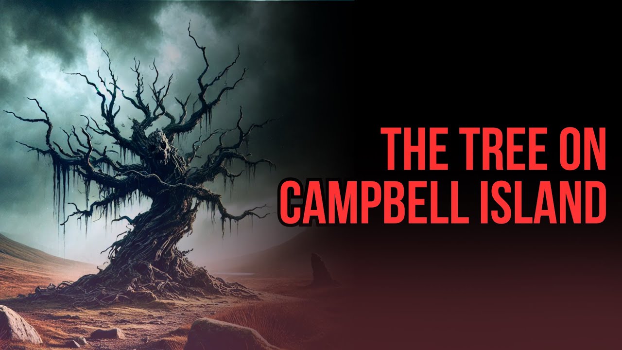 The Tree on Campbell Island | REMOTE ANTARCTIC ISLAND HORROR - YouTube