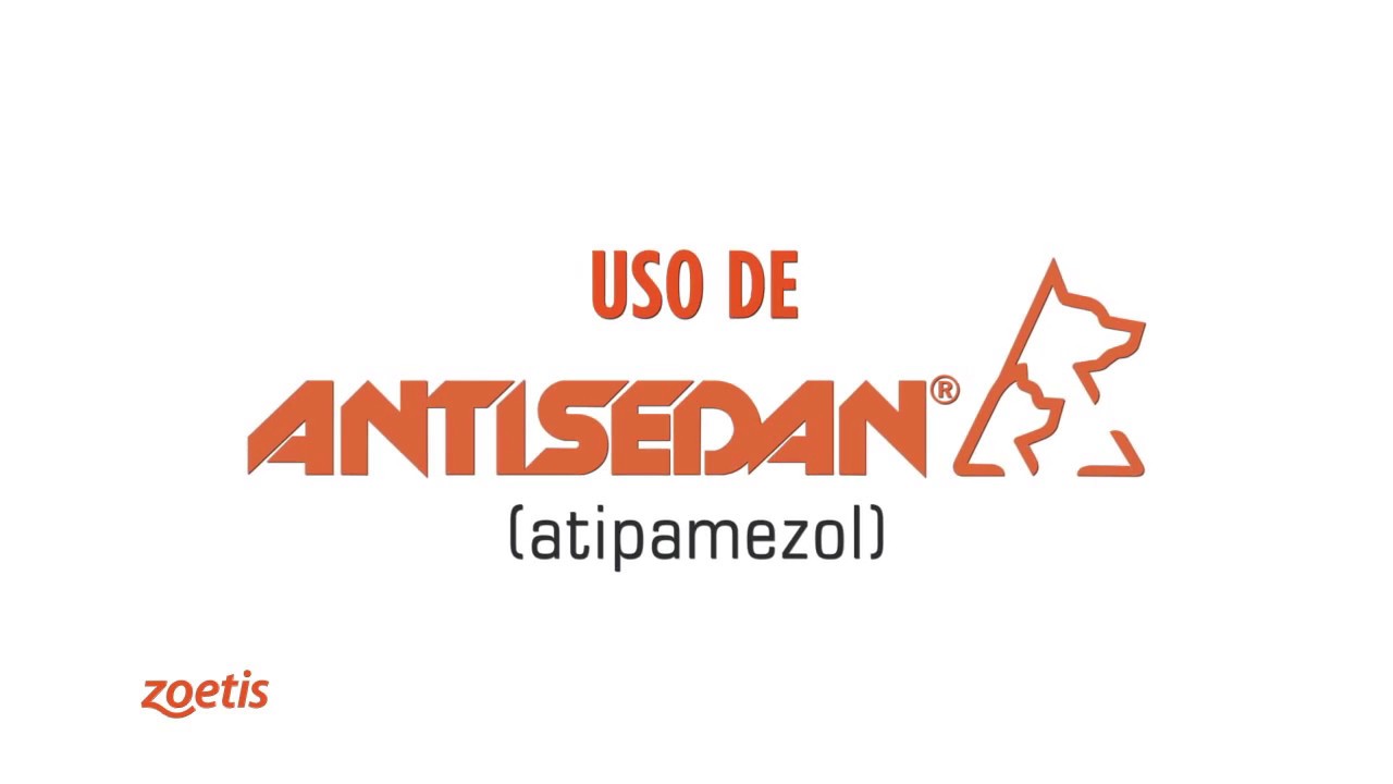 Conheça Dexdomitor e Antisedam - YouTube