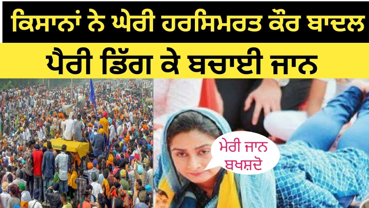🔴punjabi news today live | panjabi news live | panjabi news kisan ...