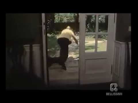 Alberto Sordi Gorilla K2 Di che segno sei 1975