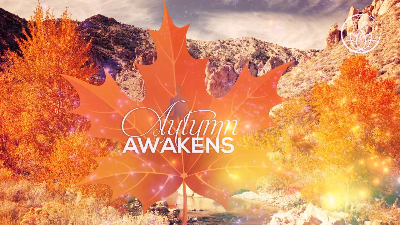 Autumn Awakens - Autumn Serenade for Focus - YouTube