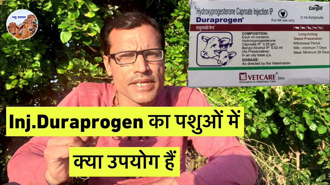 Inj.Duraprogen का पशुओं में क्या उपयोग हैं #youtubevideos ##duraprogen ...