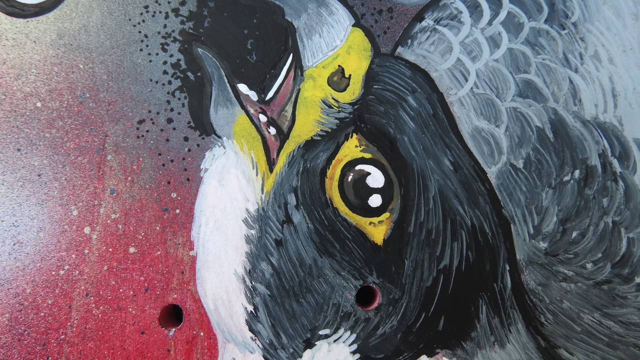 'Peregrine Eyes' skate deck Uni Posca painting - YouTube
