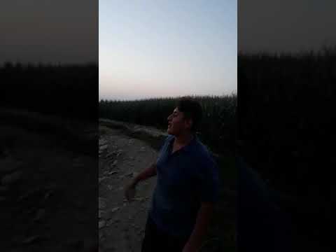 Ben Deliyim - Şiir - Genç Delikanlıdan On Numara Şiir