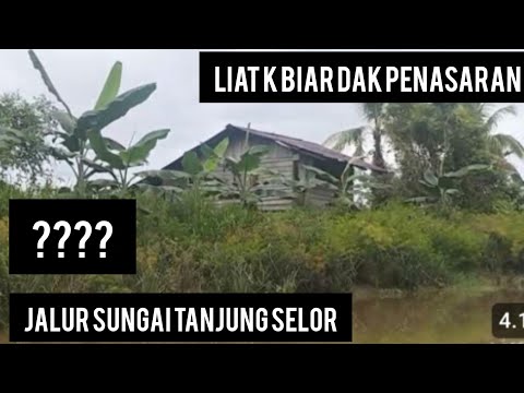 Liat jlur sungai tanjung Palas kalyim