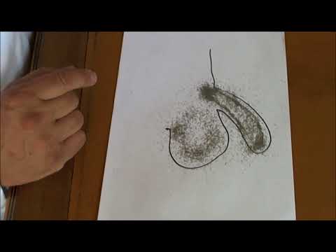 Itching on Pennies? Here is Best Treatment for Men in 2021 Penis Itchy ...