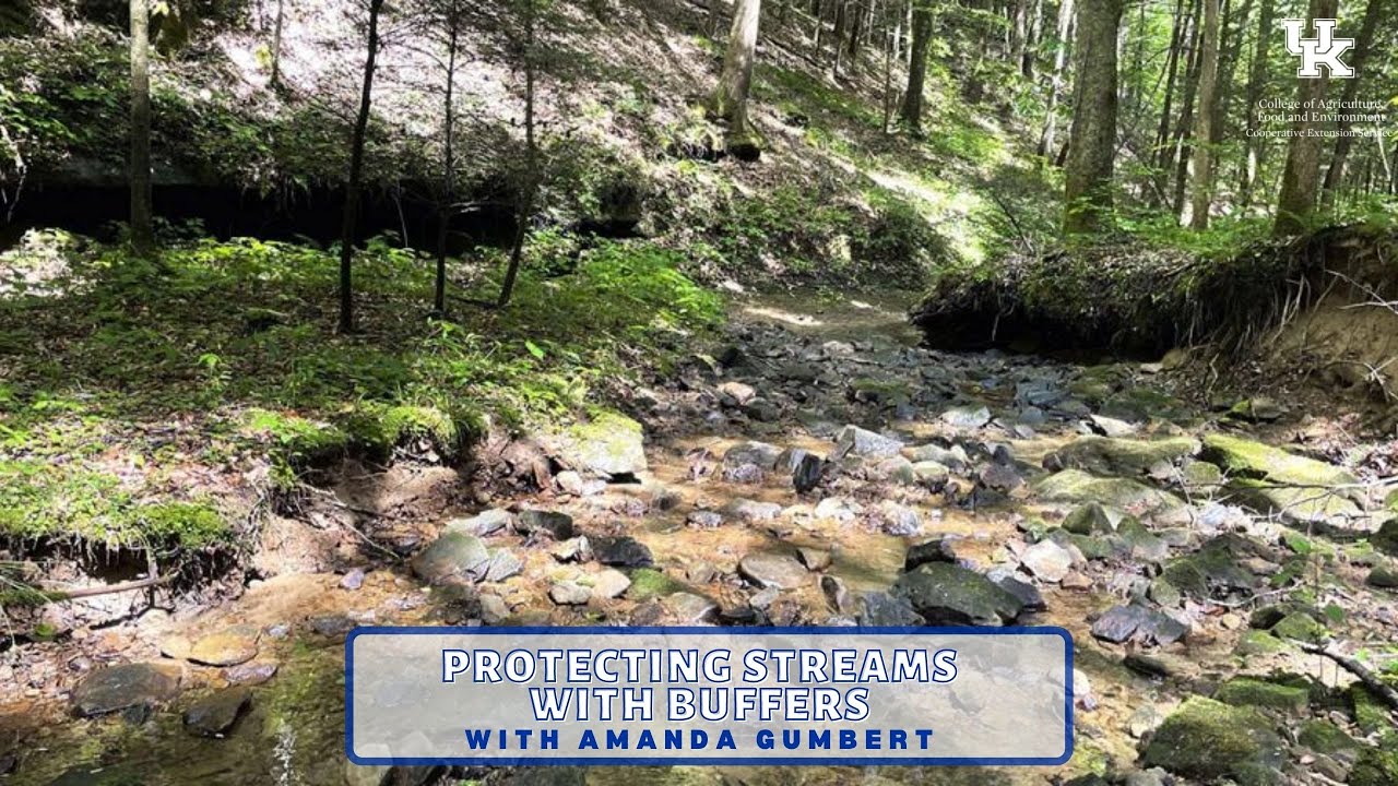 Protecting Streams with Buffers - YouTube