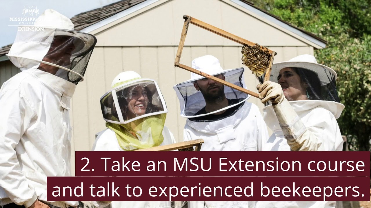 5 Tips for Beginning Beekeeping - YouTube