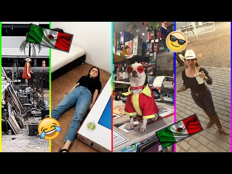 🚨PURO HUMOR MEXICANO #16🚨 Si Te Ríes Pierdes Nivel TikToks - Puro Humor Viral