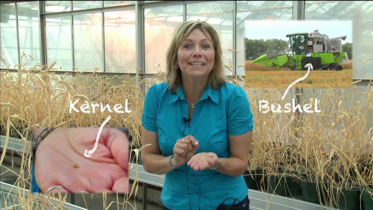 Modern Agriculture: A Field of Facts. - YouTube