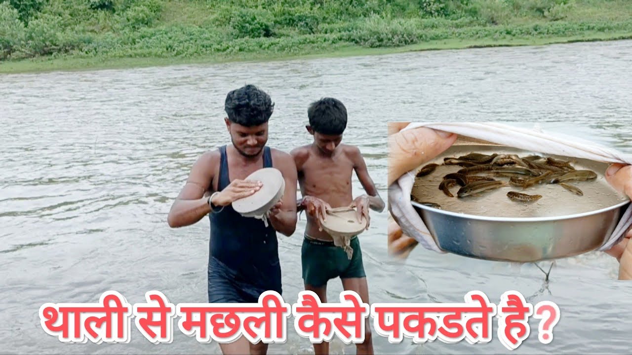 थाली से मछली कैसे पकडते है ? | how to catch fish from plate | #Banjara ...