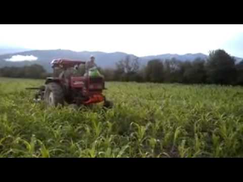 LA FORMA MAS RAPIDA DE APORCAR Y FERTILIZAR MAIZ - YouTube