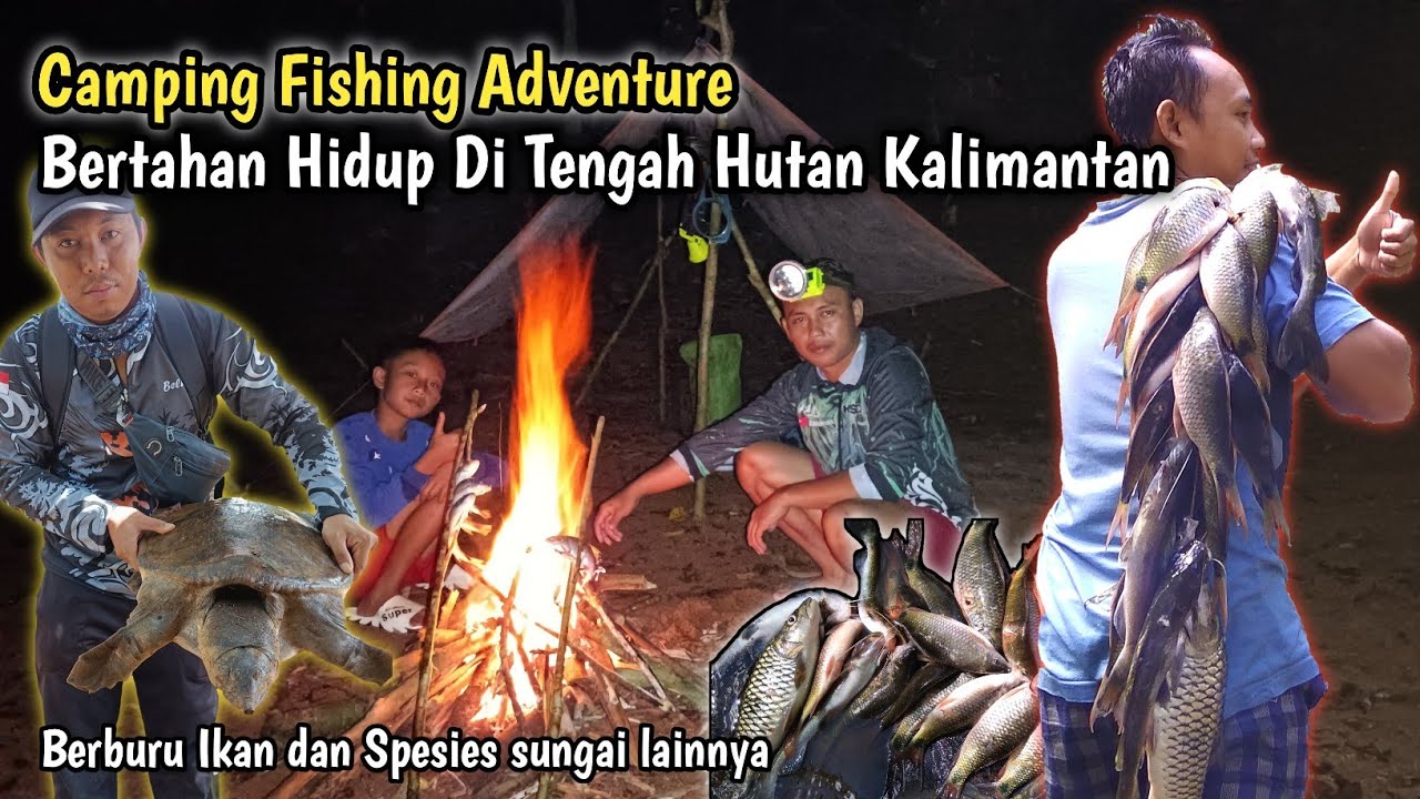 Petualangan memasuki hutan kalimantan mencari ikan dan bermalam di tepi sungai - YouTube