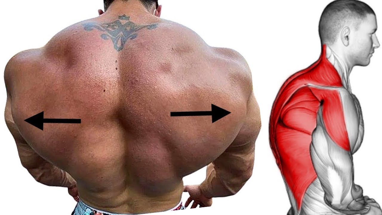 10 Exercises to Build Bigger Back | FULL BACK WORKOUT - YouTube