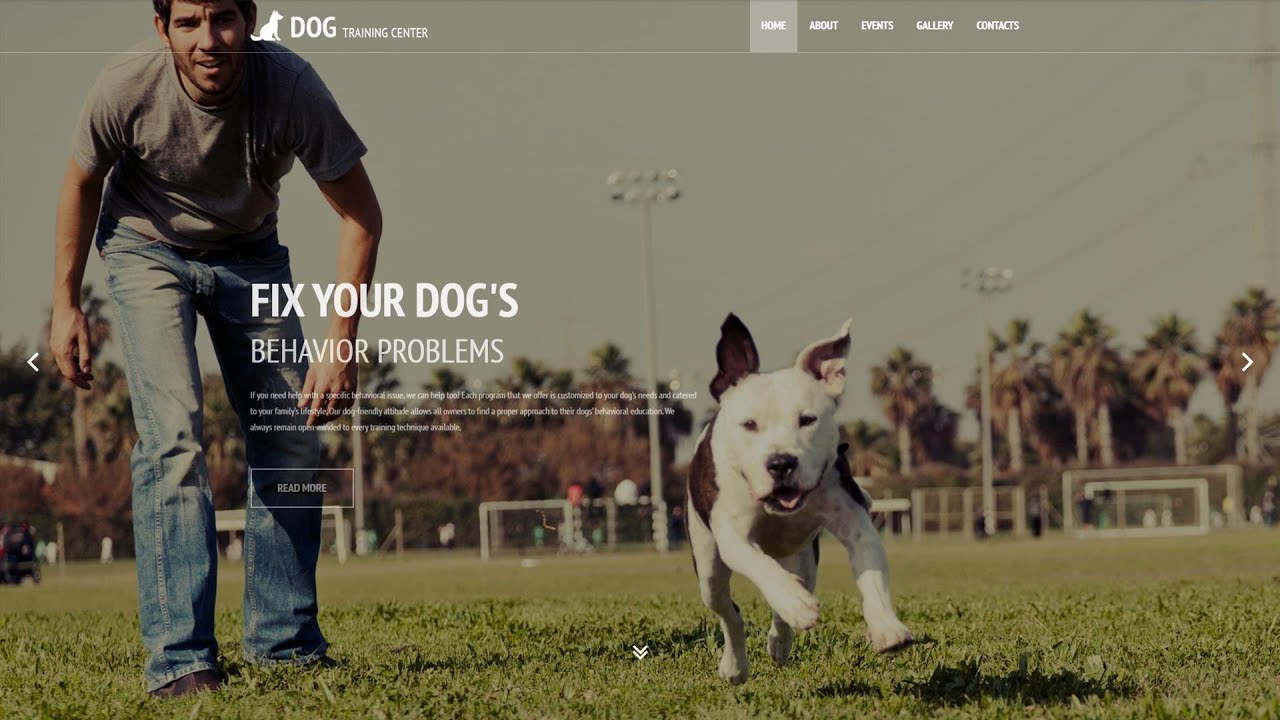 Dog Training Center - Dog Templates Responsive Modern HTML Website ...