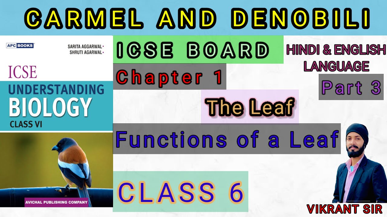 THE LEAF Functions Of A Leaf Chapter 1 Class 6 Carmel ICSE THE LEAF Functions Of A Leaf Chapter 1 Class 6 Carmel ICSE