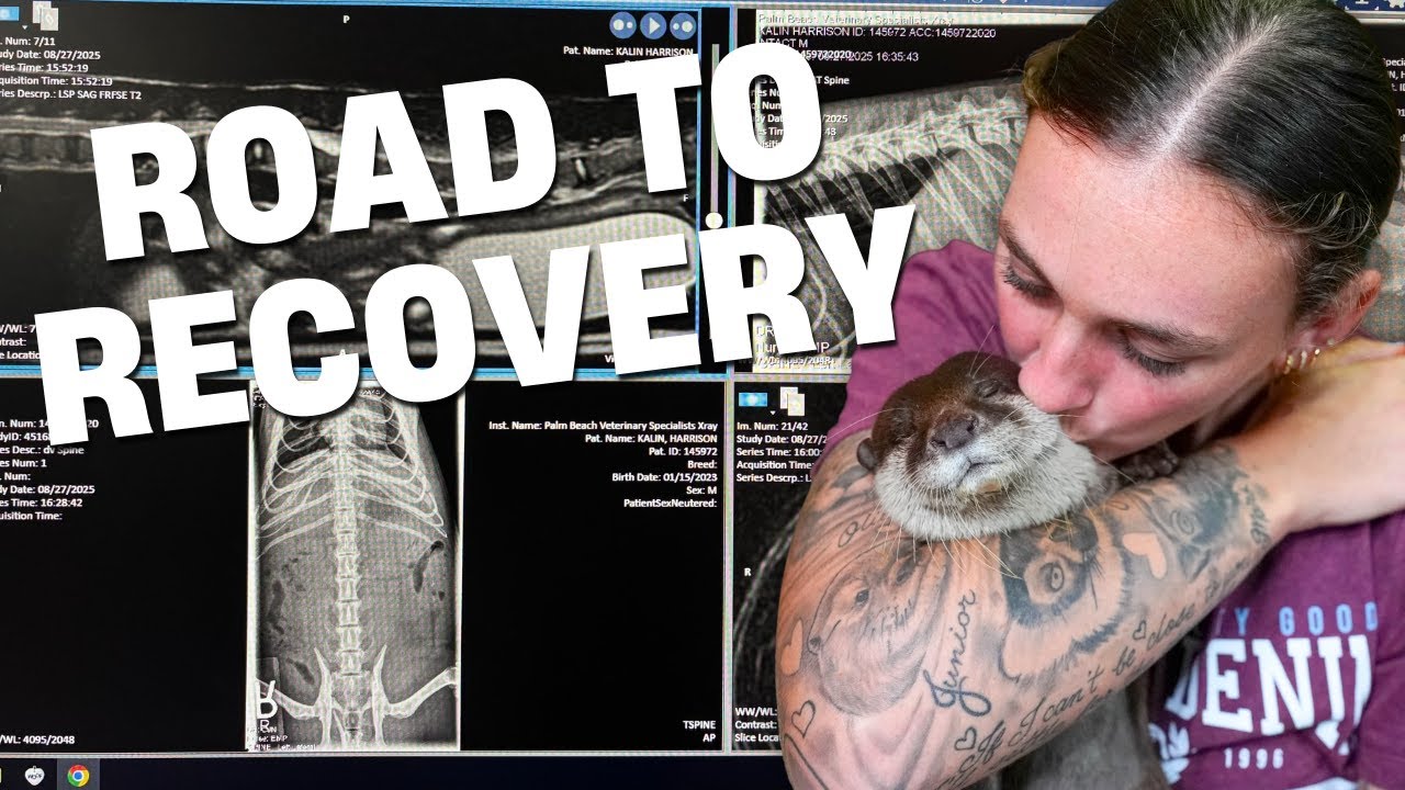 Harrison's First Recovery BREAKTHROUGH! | Healing With Harrison EP2 ...